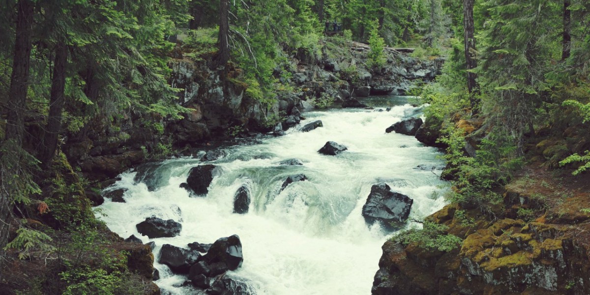 Don’t Be Divided – Devoted To You