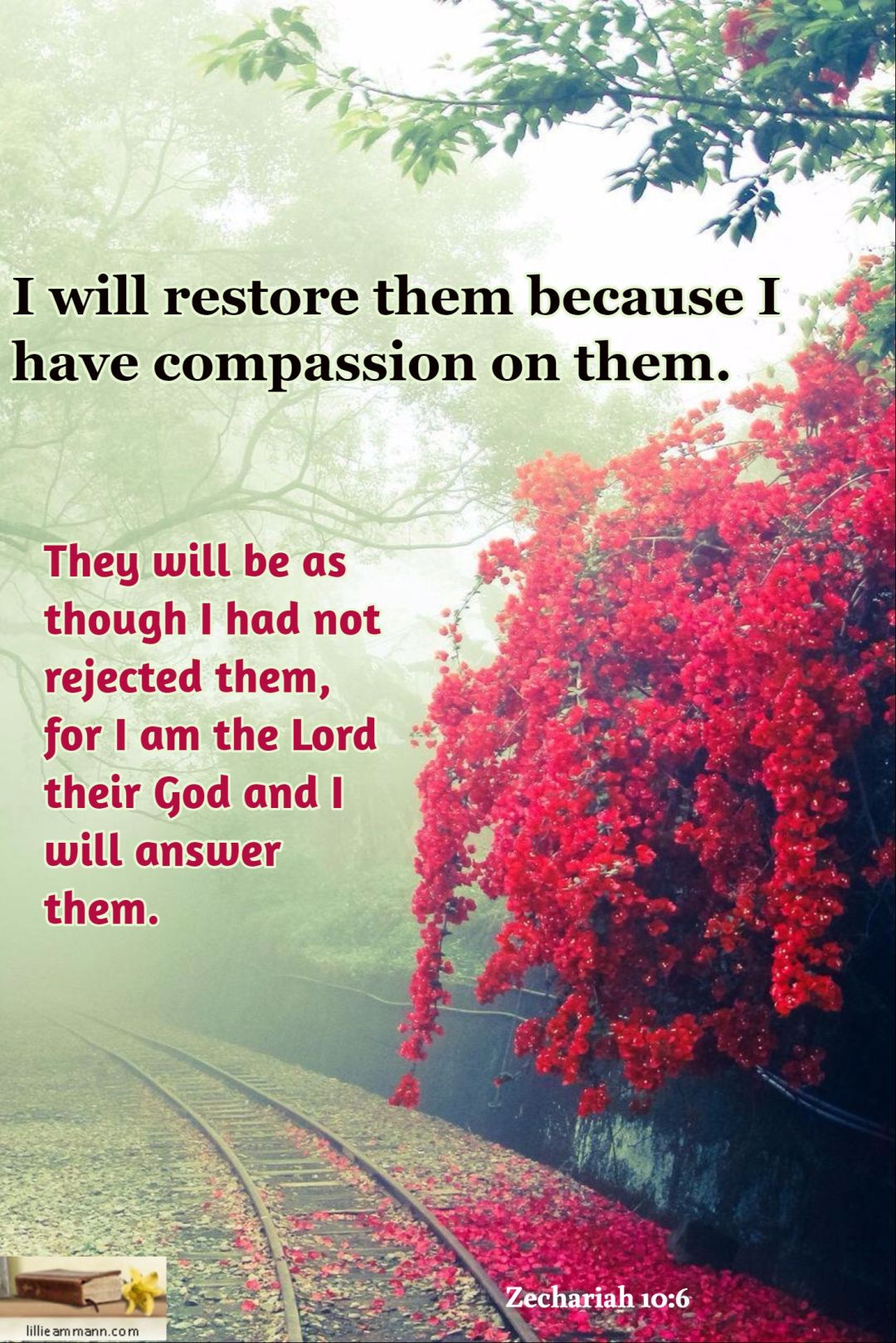 Poor Shepherds and a Great God – Devoted To You