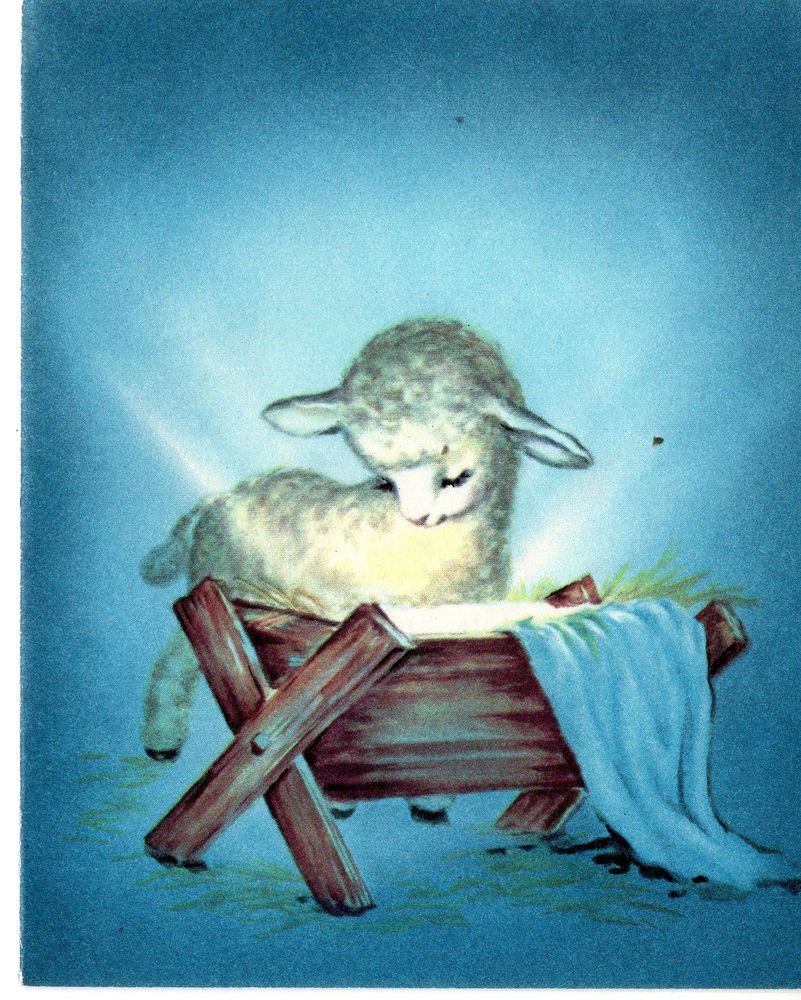 The Days of Christ(mas) 8: A Little Lamb – Devoted To You