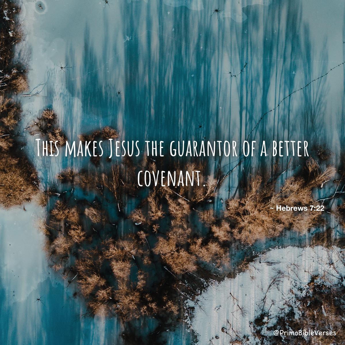 Priest of a Better Covenant – Devoted To You