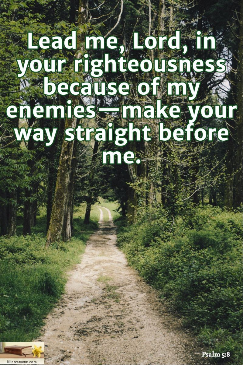 Reflections on Psalm 5 – 8 – Devoted To You