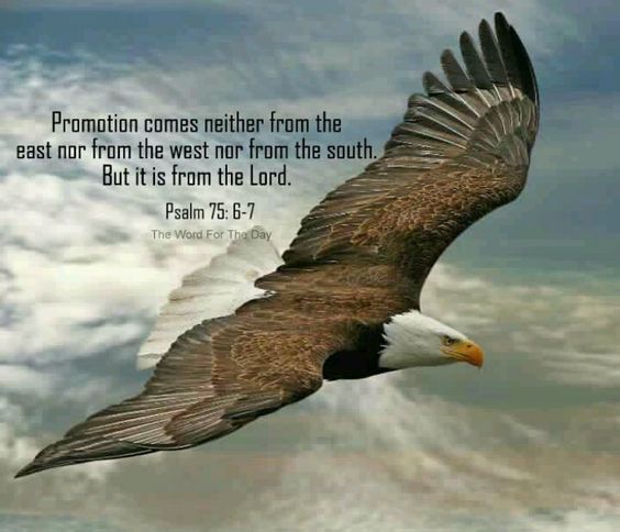 Psalm 75 (NKJV) – Devoted To You